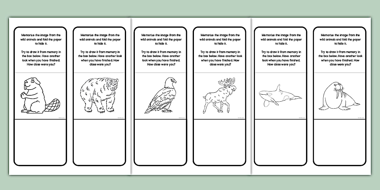 Wild Animals Draw from Memory Activity (Teacher-Made)