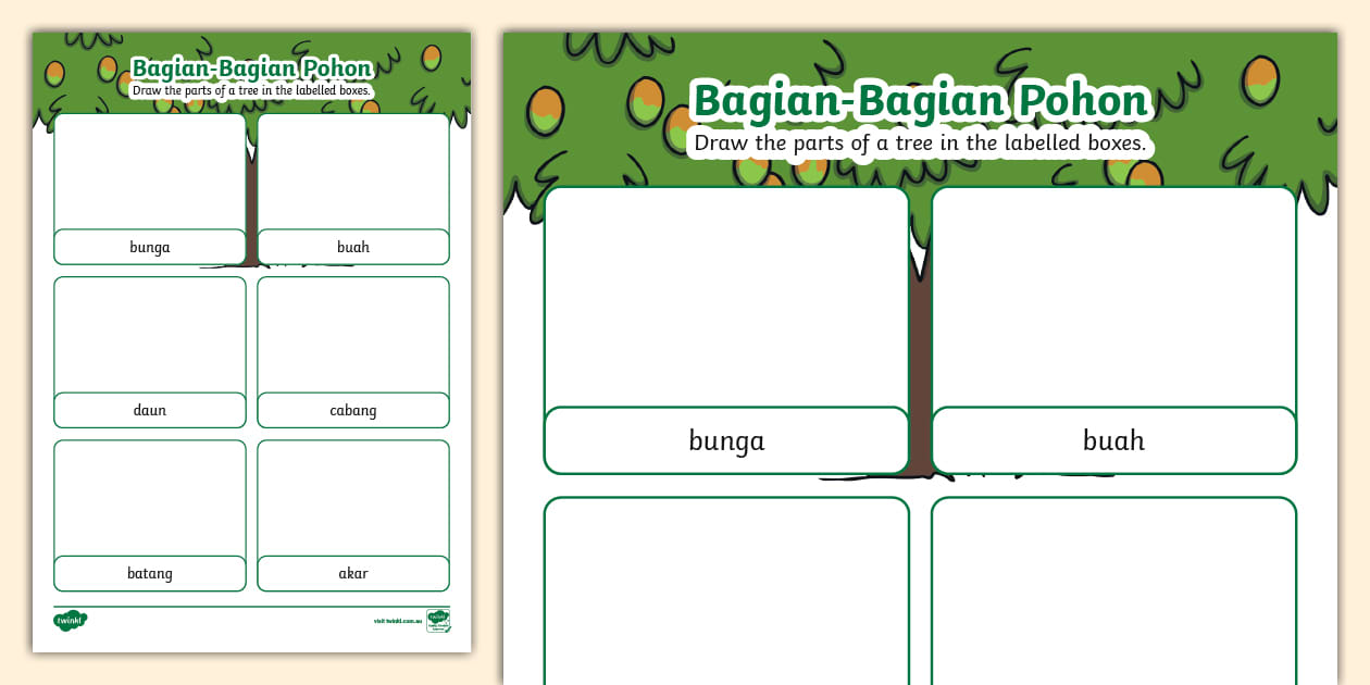 Parts of a Tree Drawing Activity - Indonesian (teacher made)