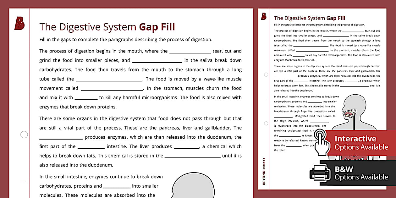The Digestive System Gap Fill Activity - Beyond Science