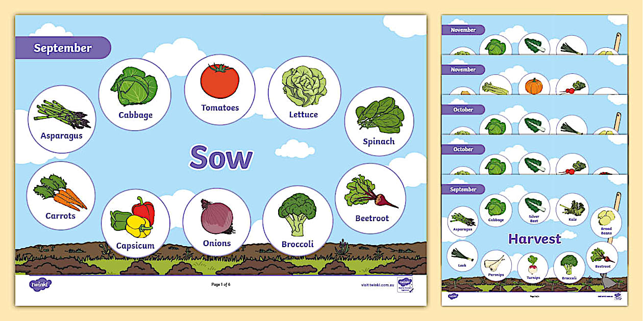 Spring Months - Vegetables to Sow and Harvest (teacher made)