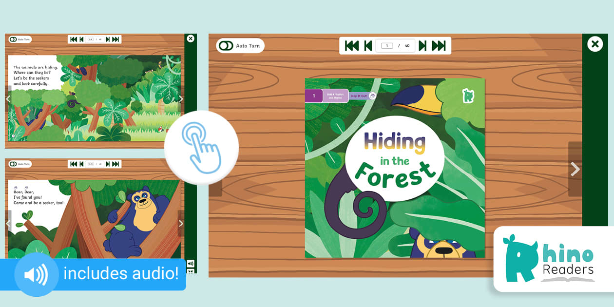 Level 1 Unit 4 Reading Scheme Book: Hiding in the Forest