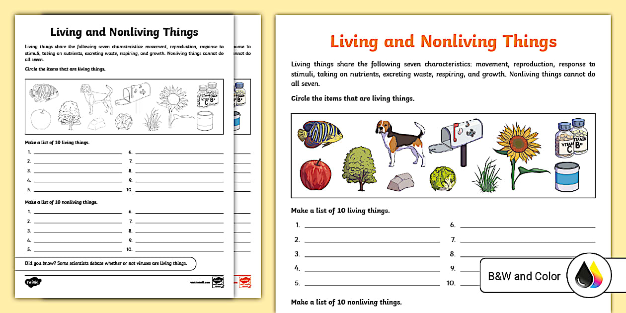 Living and Nonliving Things Worksheet | Science | Twinkl USA