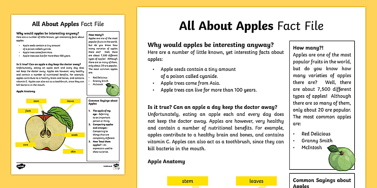 All About Apples Fact File (Teacher-Made) - Twinkl