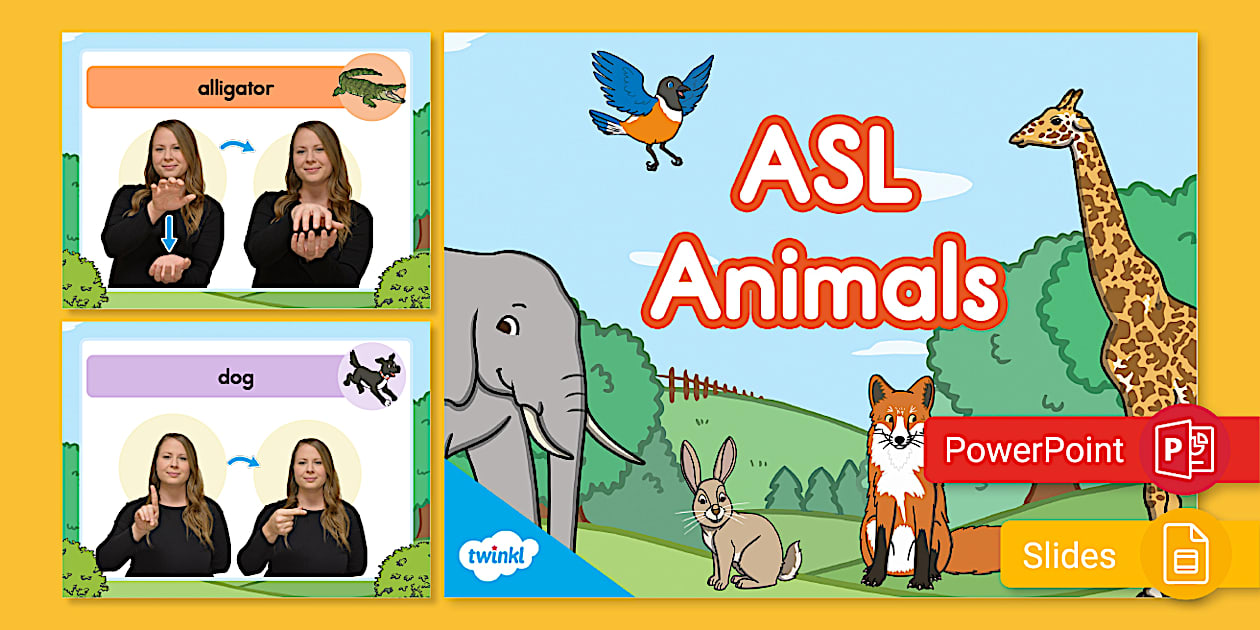 ASL Animals PowerPoint & Google Slides (Teacher-Made)