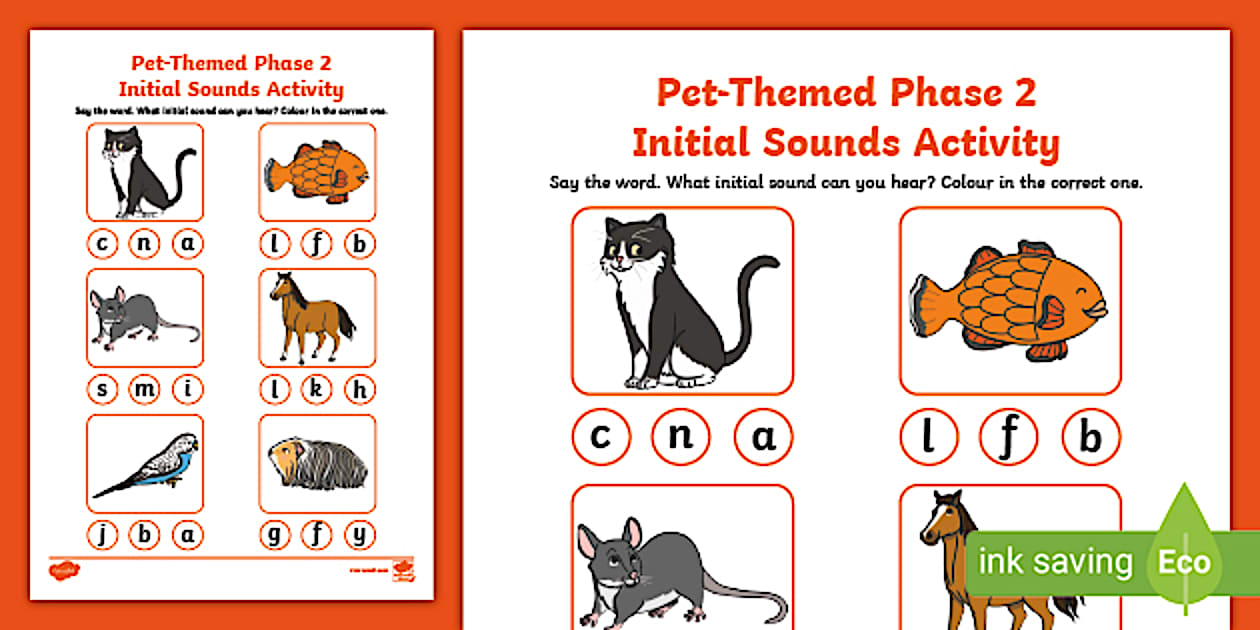Pet-Themed Phase 2 Initial Sound Activity (teacher made)