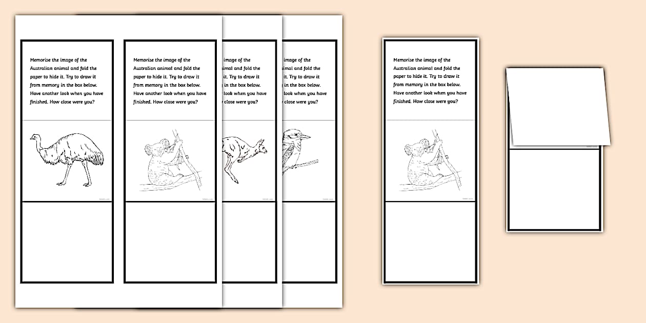Australian Animals Draw from Memory Activity (Teacher-Made)
