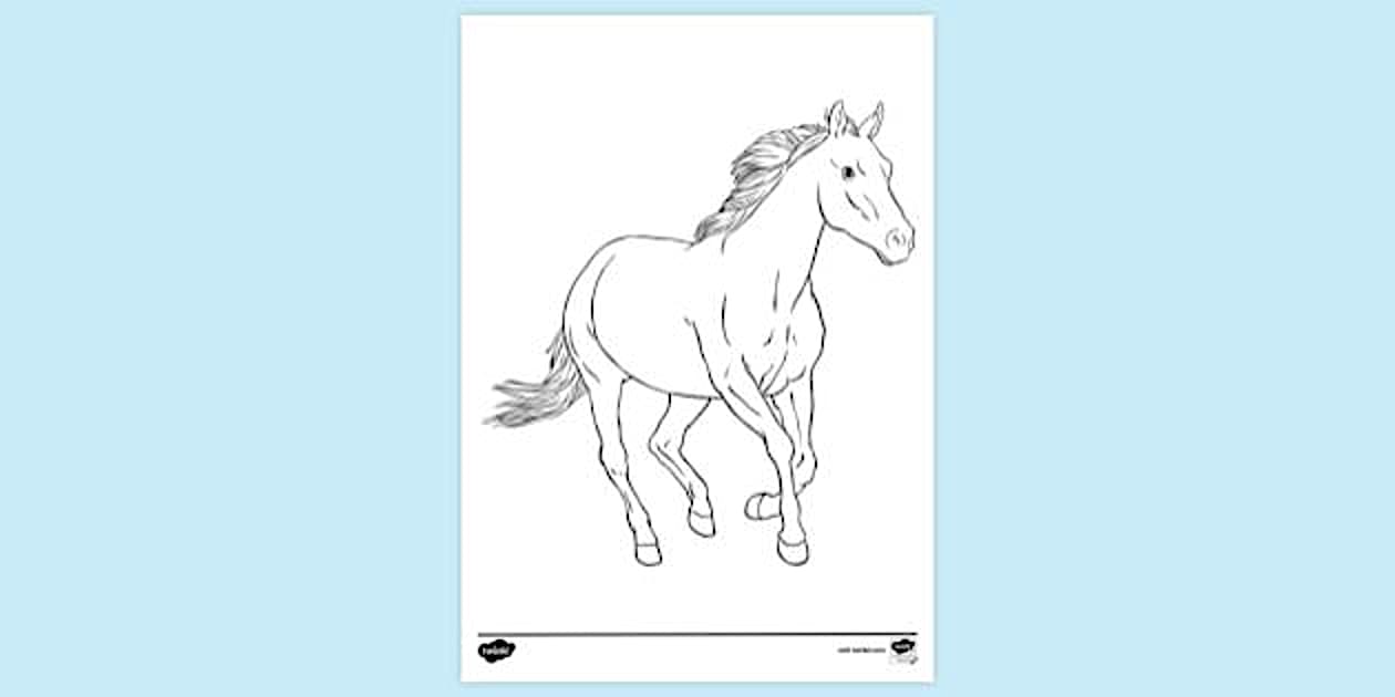Printable Horse Colouring Page | Colouring Sheets - Twinkl