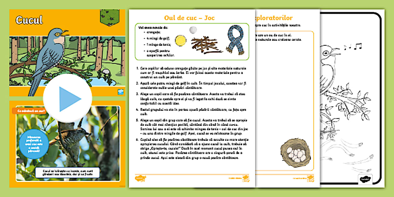 Cucul – Pachet cu resurse (teacher made) - Twinkl