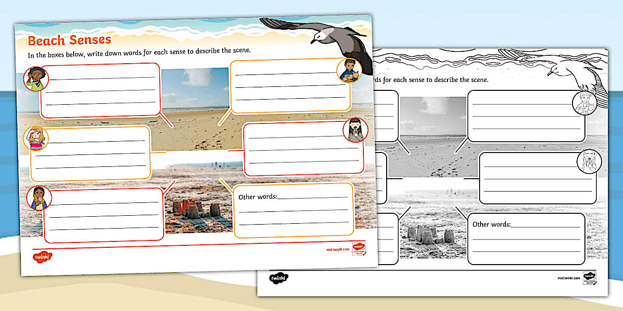 Beach Senses Mind Map (teacher made) - Twinkl