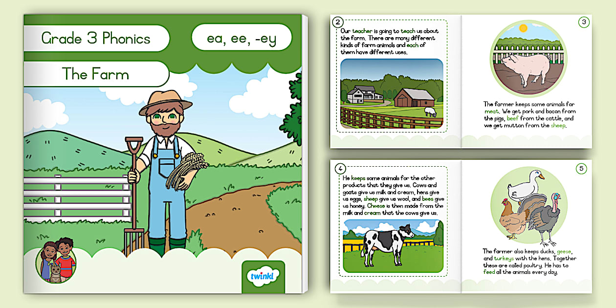 Grade 3 Phonics eBook: ea, ee, ey (Teacher-Made) - Twinkl