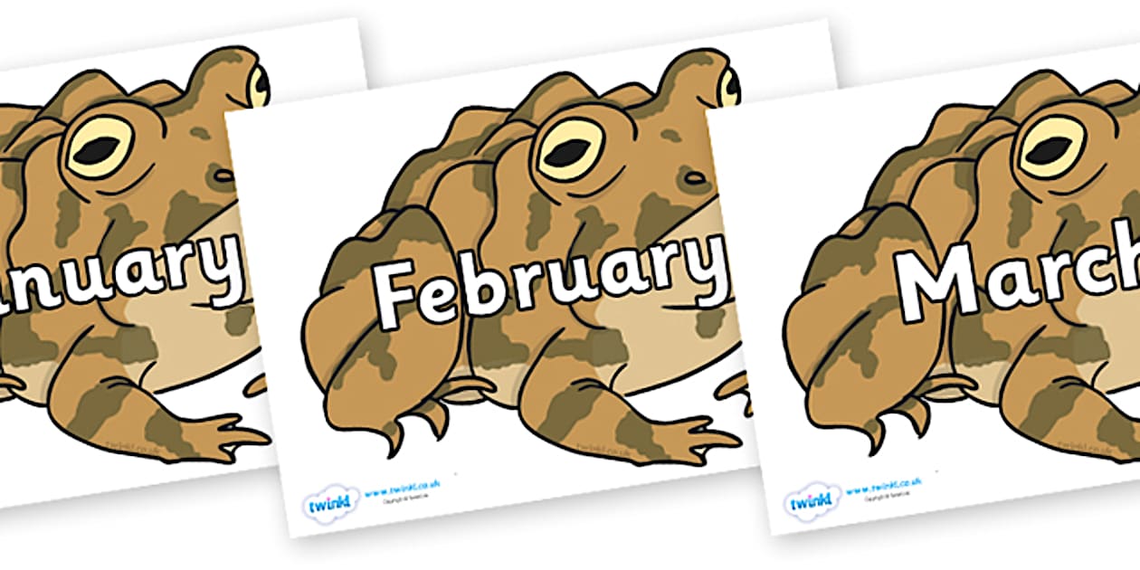Cursive Months of the Year on Toad (teacher made) - Twinkl