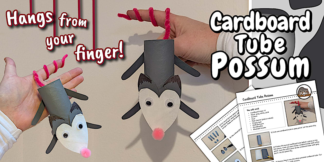 Cardboard Tube Possum Craft Activity