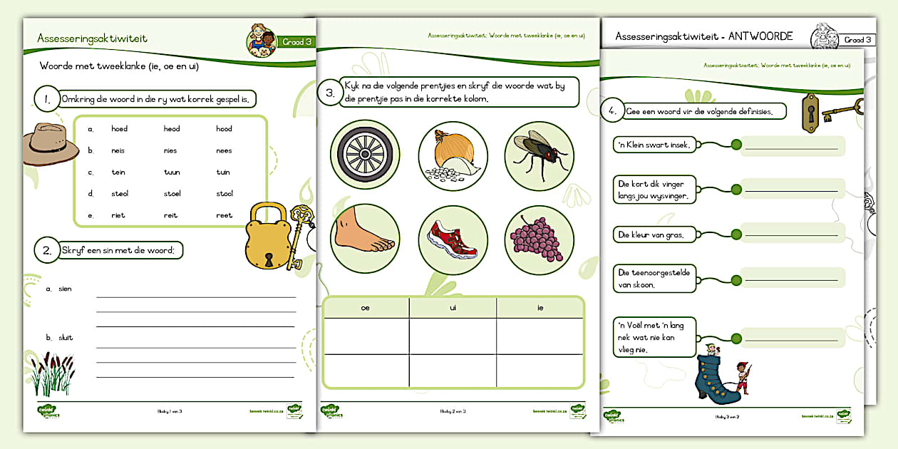 Graad 3 Klanke Assessering ie, oe, ui (Teacher-Made)