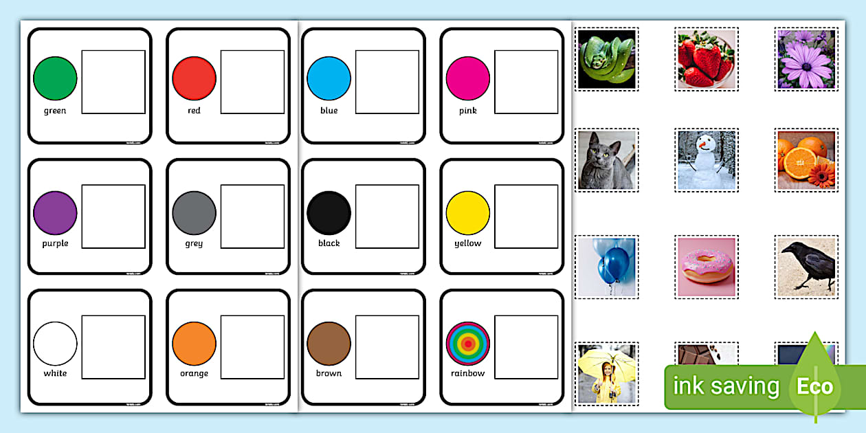 Colour Matching Activity with Photos (teacher made) - Twinkl