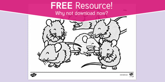 FREE! - Mice and Mouse Colouring Sheet | KS1 Resources | Twinkl