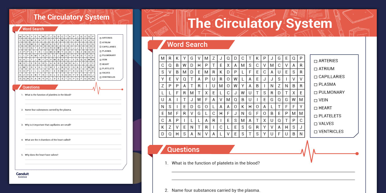 The Circulatory System: Word Search (teacher made) - Twinkl