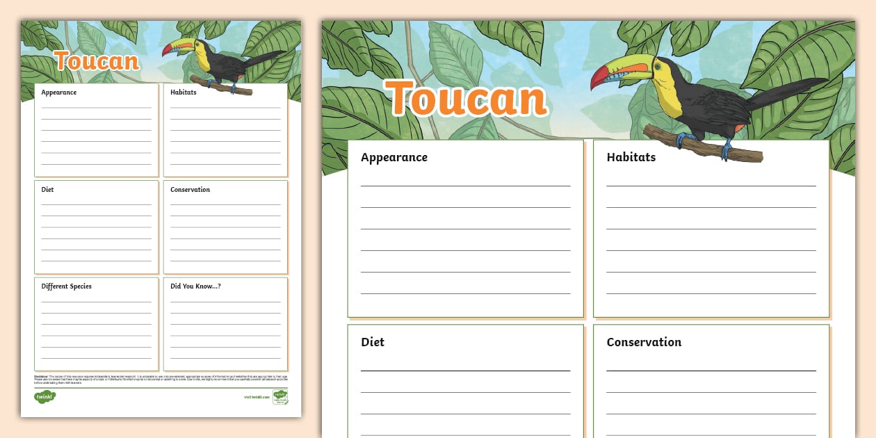 Toucan Fact File Template - Twinkl Science (teacher made)