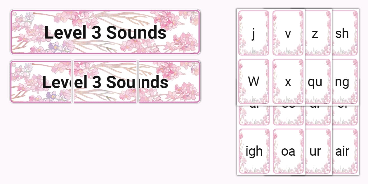 Phonics Singapore Orchid Themed Sound Cards (teacher made)