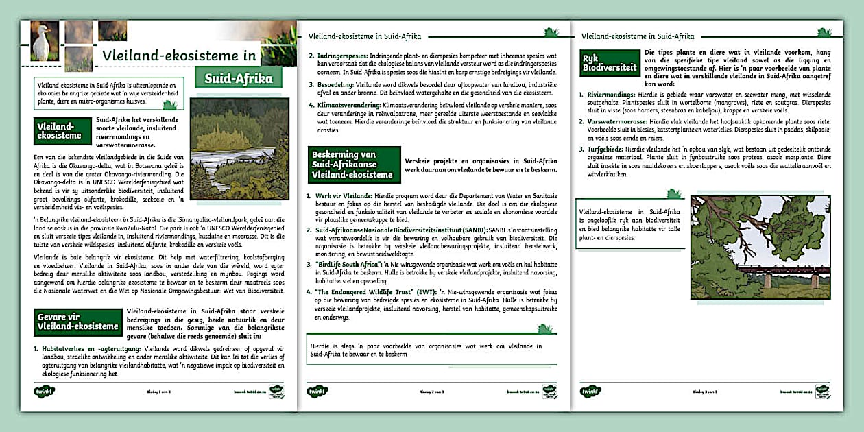 Vleiland-Ekosisteme (teacher made) - Twinkl