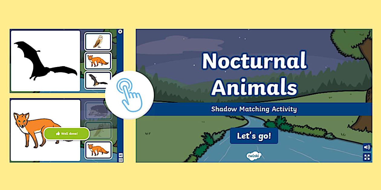 Nocturnal Animals Shadow Matching Game (teacher made)