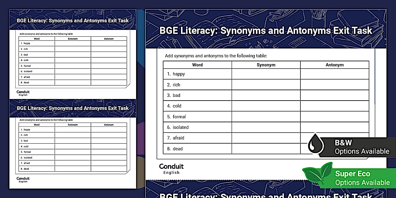 BGE Literacy: Synonyms and Antonyms Exit Task - Twinkl