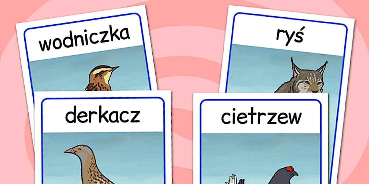 Plakaty ze zwierzetami po polsku (teacher made) - Twinkl