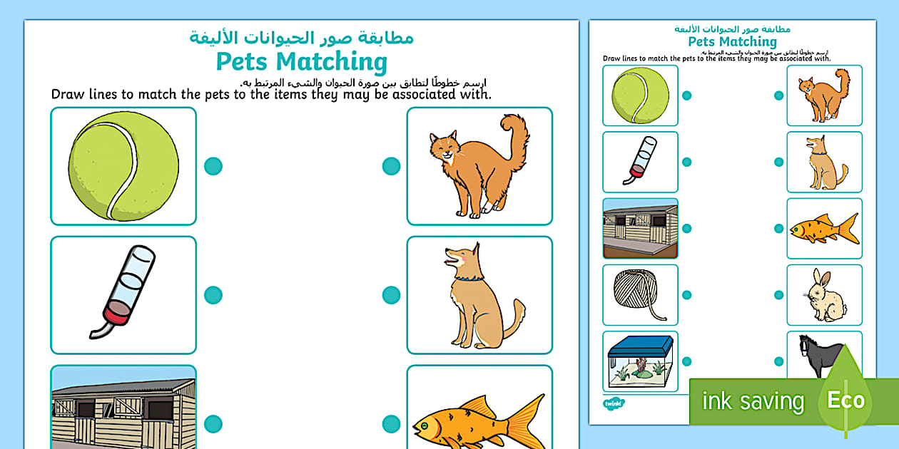 Pets Matching Activity Arabic/English - Pets Matching Activity