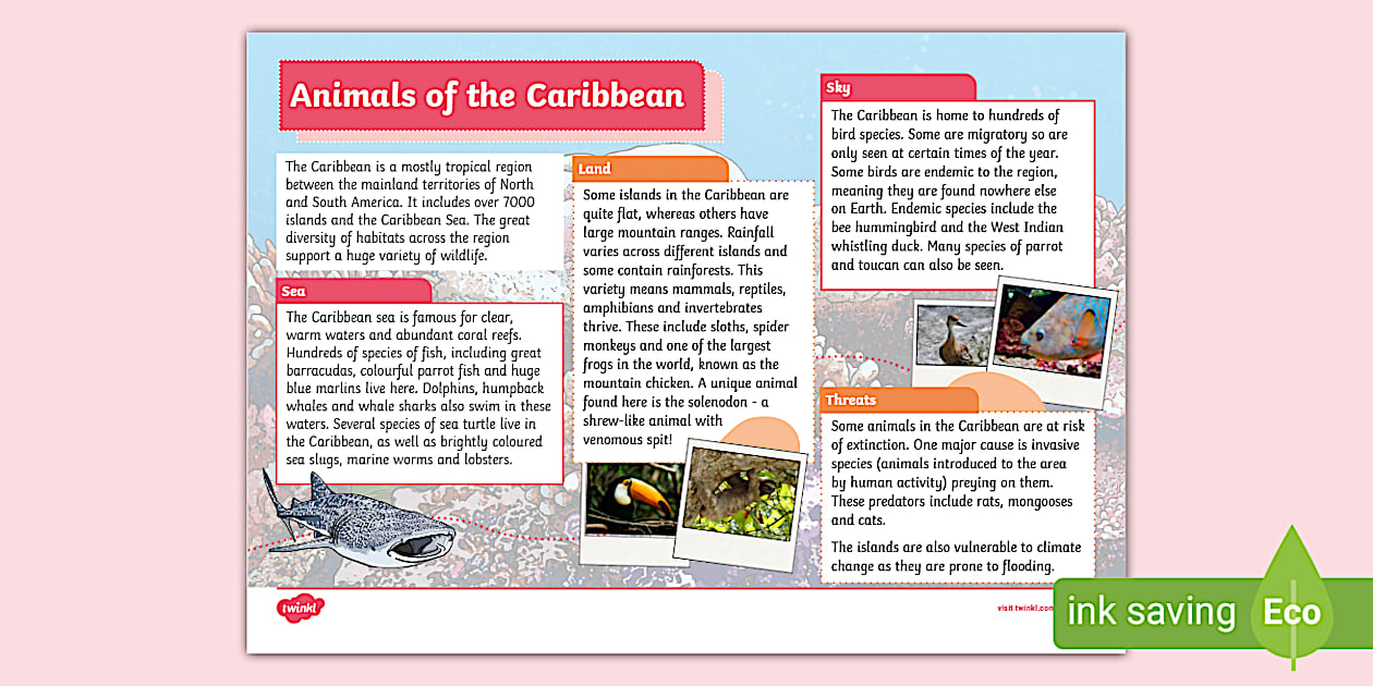 Animals of the Caribbean Fact File - KS2 - Geography