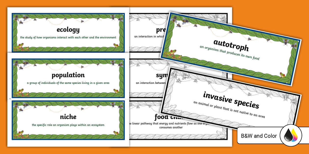 Sixth Grade Ecosystem Word Wall Cards (Teacher-Made)