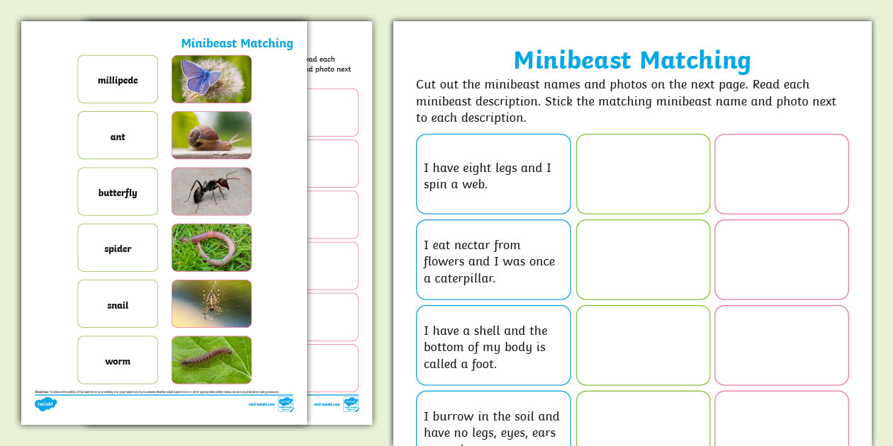 Minibeast Matching Cut and Stick Activity Sheet - Twinkl