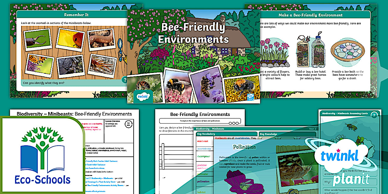 Science: Minibeasts: Bee-Friendly Environments Year 2