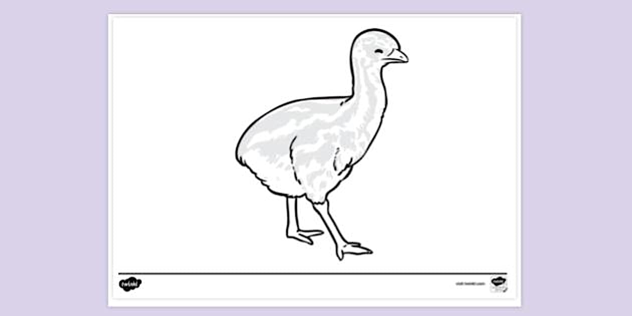 Adolescent Emu Colouring Sheet | Colouring Sheets - Twinkl
