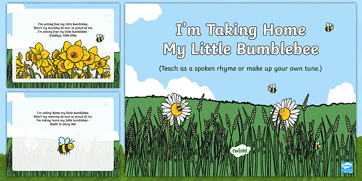 I'm Taking Home My Little Bumblebee Song PowerPoint - Twinkl