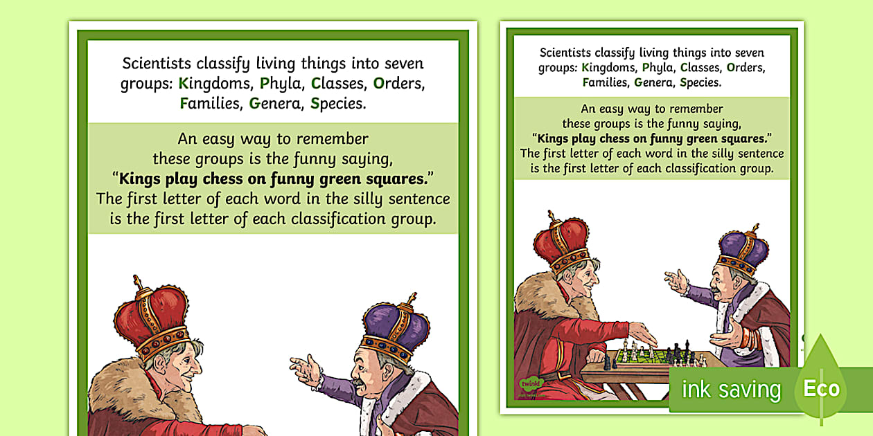 Taxonomy/Classification Poster (Teacher-Made) - Twinkl