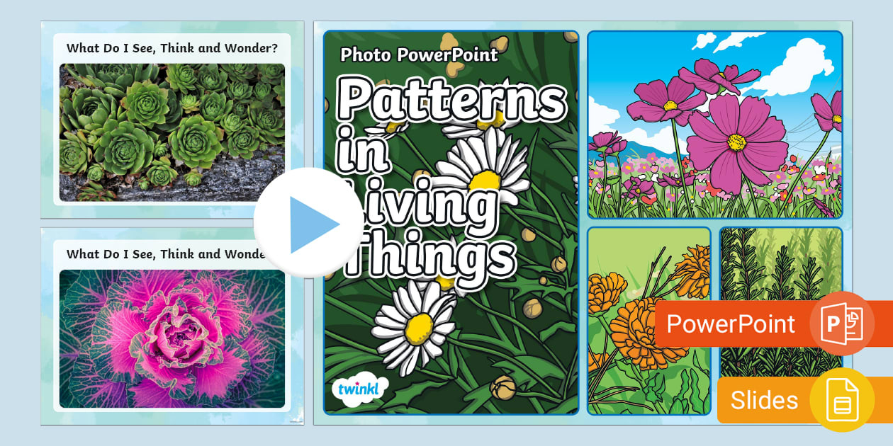 Patterns in Living Things Photo PowerPoint - Twinkl