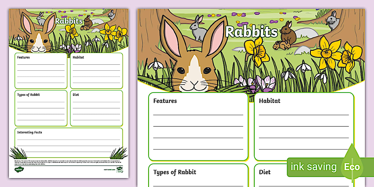 Rabbits Fact File Template (teacher made) - Twinkl