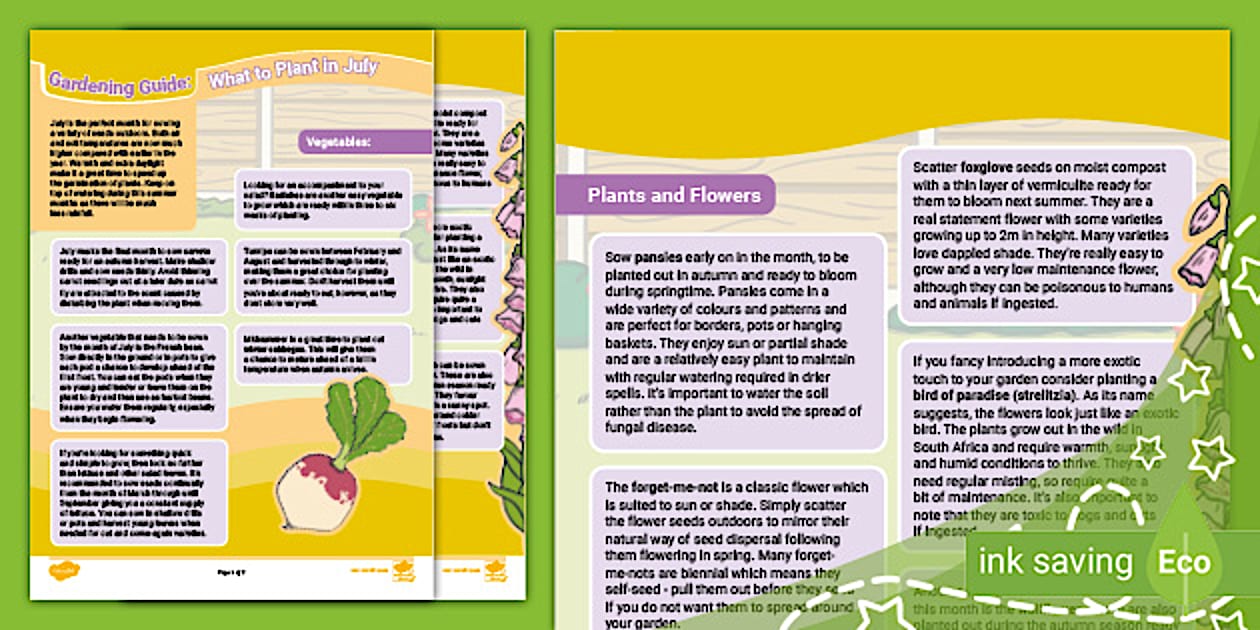 Gardening Guide: What to Plant in July - Twinkl