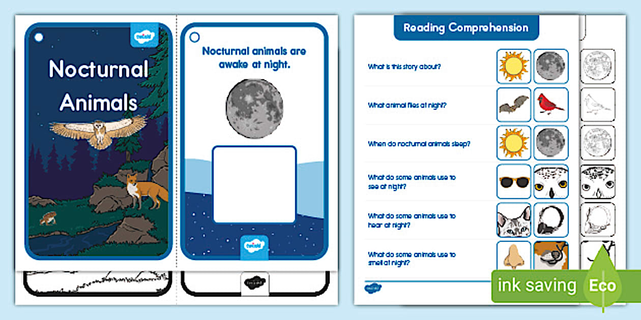 Nocturnal Animals Adapted Reader for Special Education