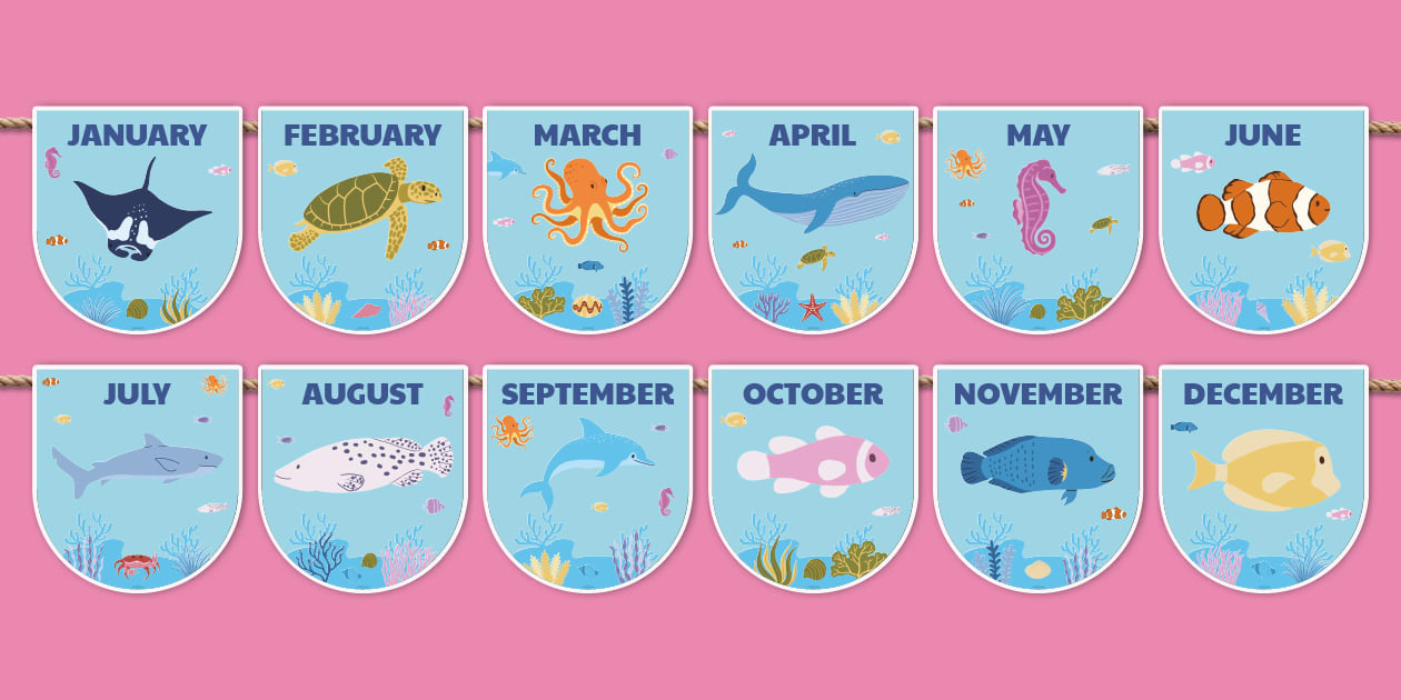 The Great Barrier Reef Themed Our Birthdays Display Bunting