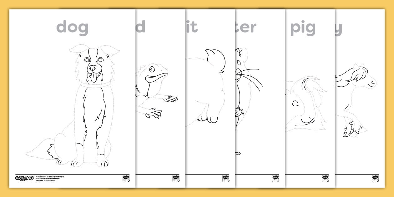 Trace and Colour Pets Activity Sheets (teacher made)
