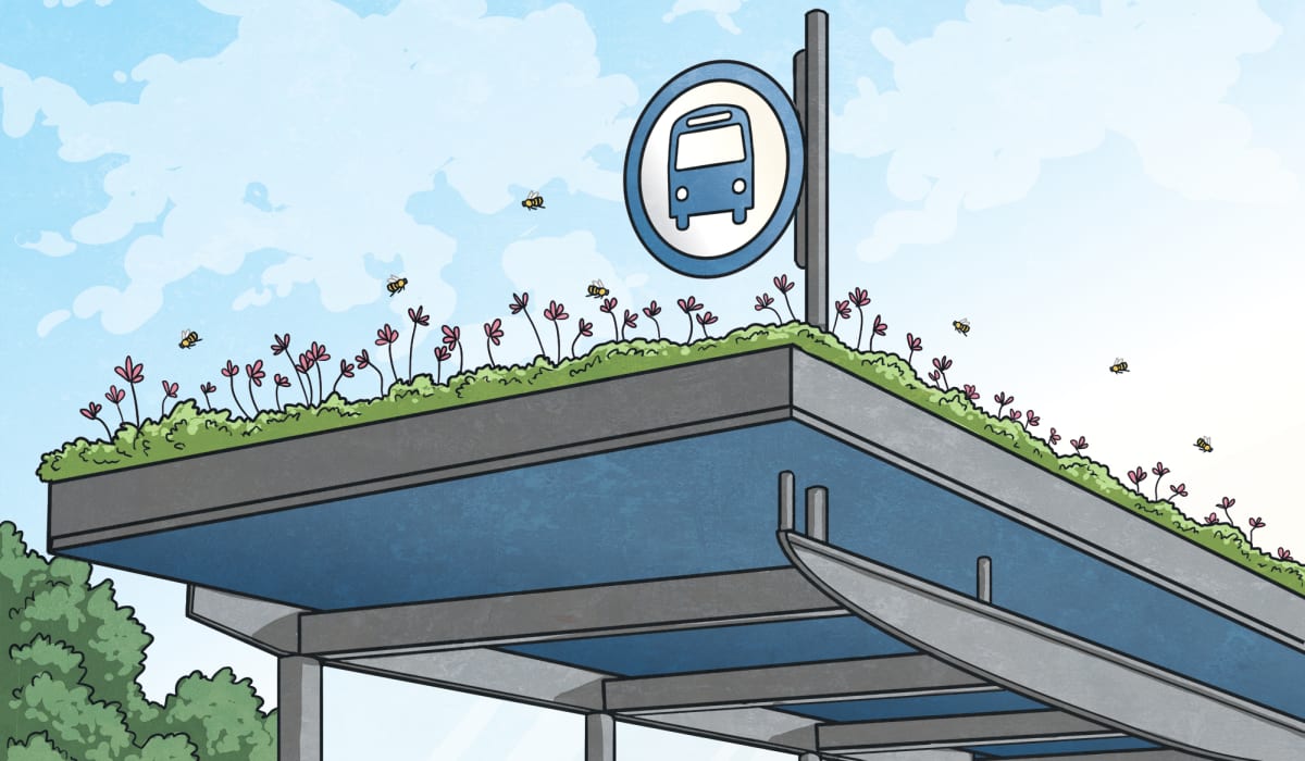 Buzz Stop - Twinkl NewsRoom - Twinkl