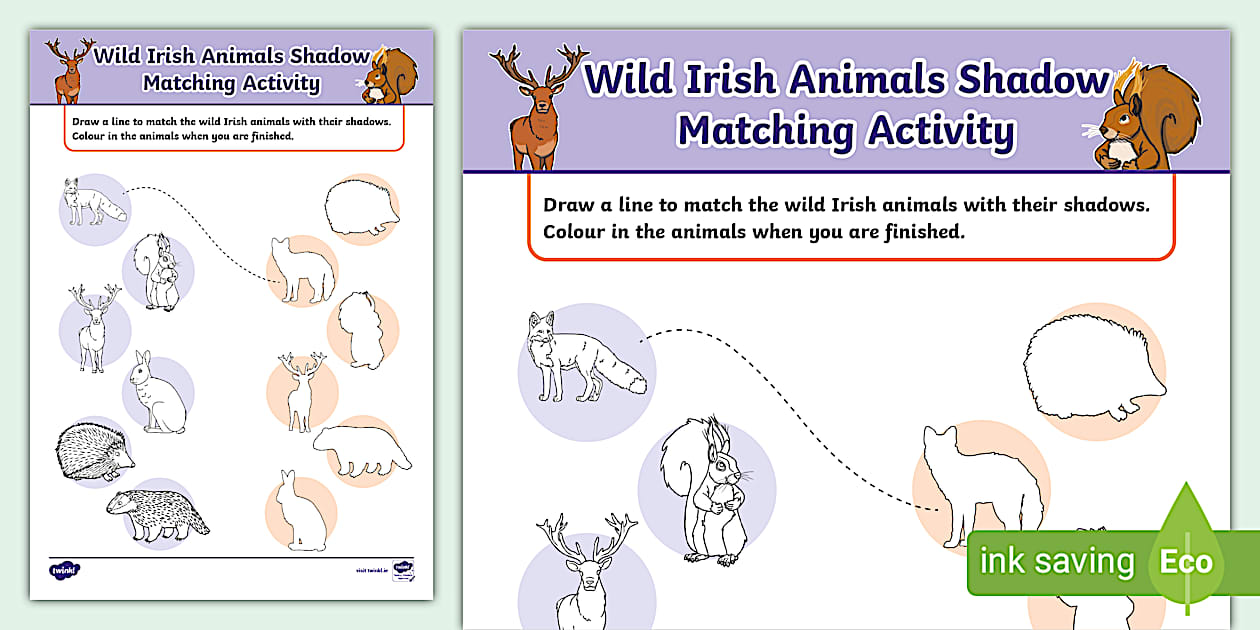 Wild Irish Animals Shadow Matching Activity SESE Aistear Junior Infants KS1
