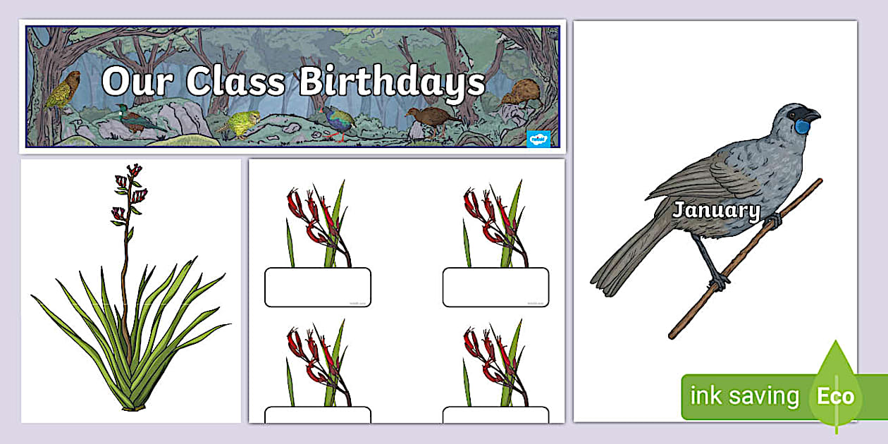 NZ Birthday Birds Display (teacher made) - Twinkl