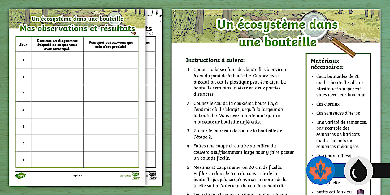 How Ecosystems Work - Ecosystem in a Bottle STEM Activity French