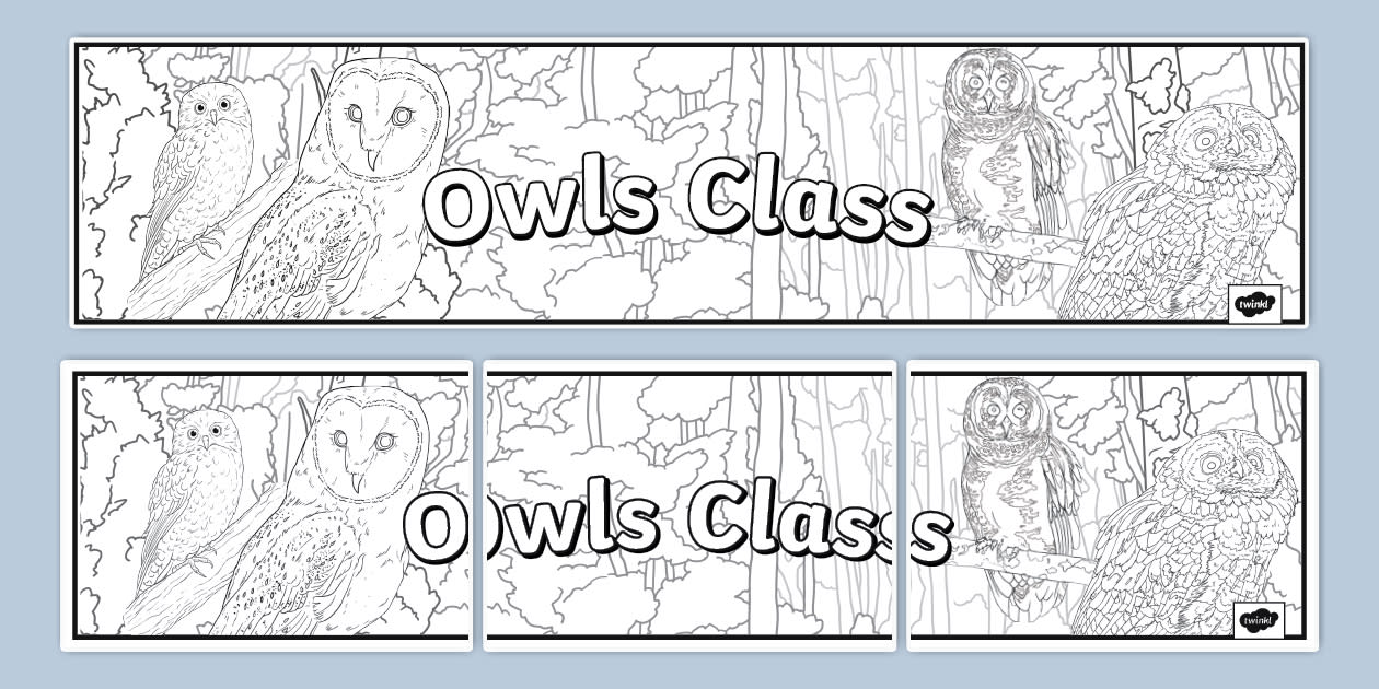 Owls Class Colouring Display Banner (teacher made) - Twinkl