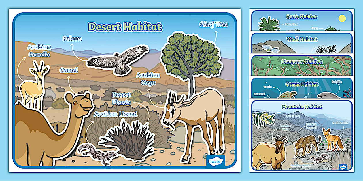UAE Animal Habitats Display Posters (teacher made) - Twinkl