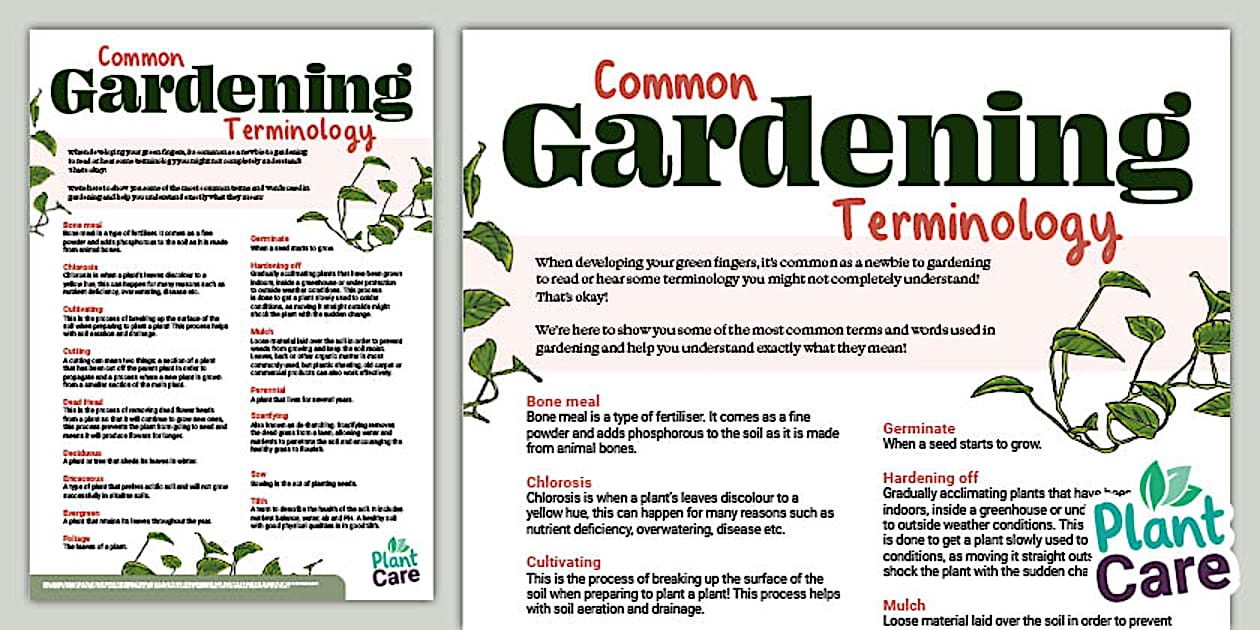 Common Gardening Terminology (teacher made) - Twinkl