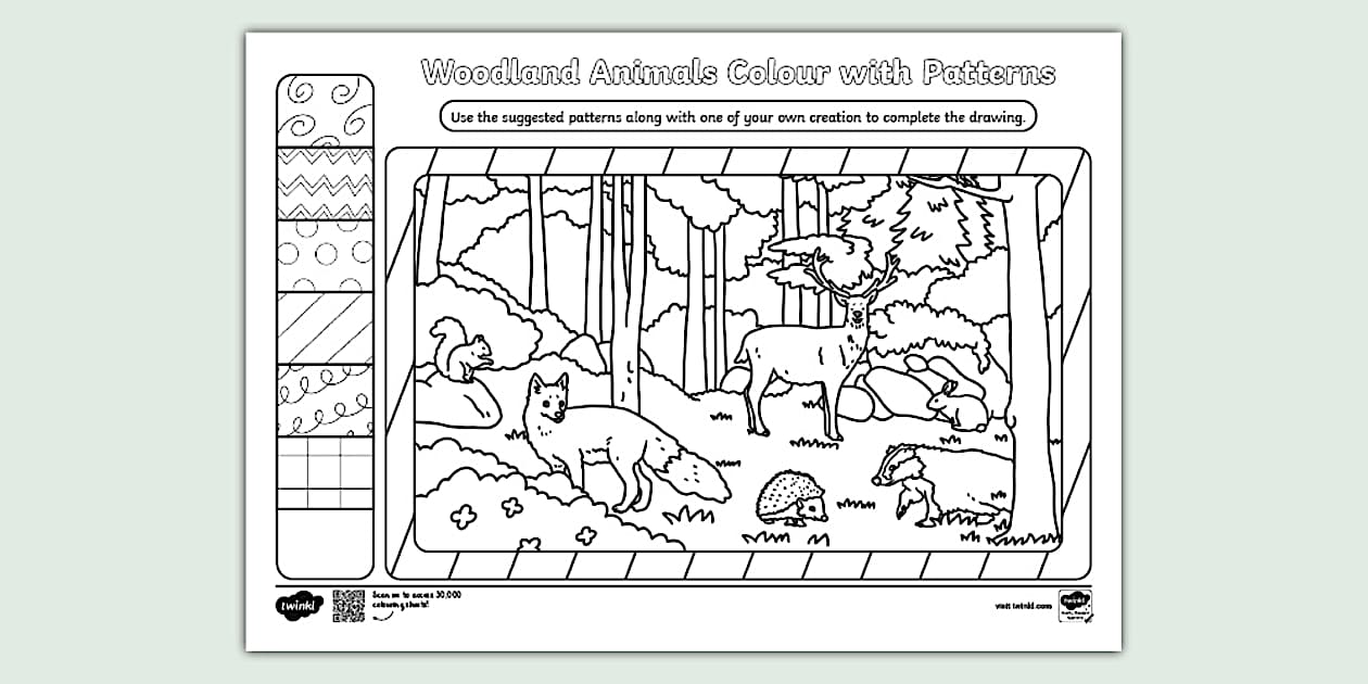 Woodland Animals Colour with Patterns Activity - Twinkl