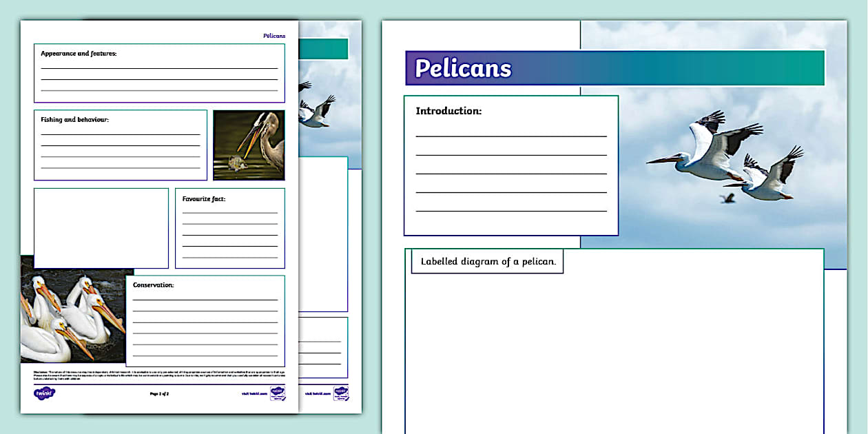 Pelicans Non-Chronological Report Template