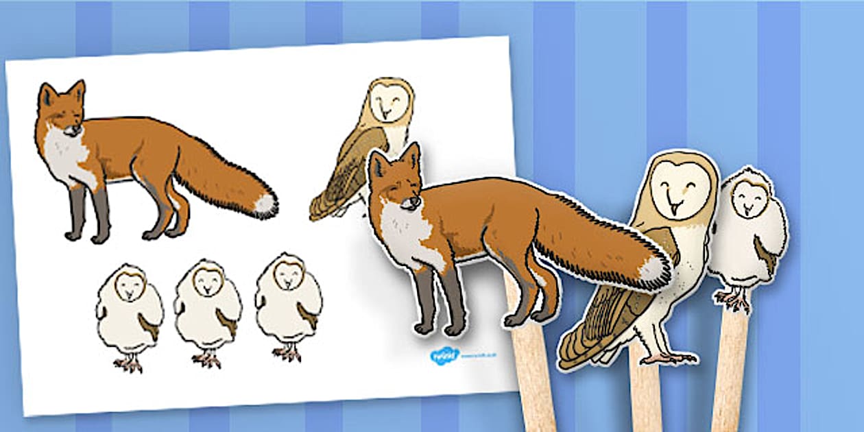 Owl Stick Puppets (teacher made) - Twinkl